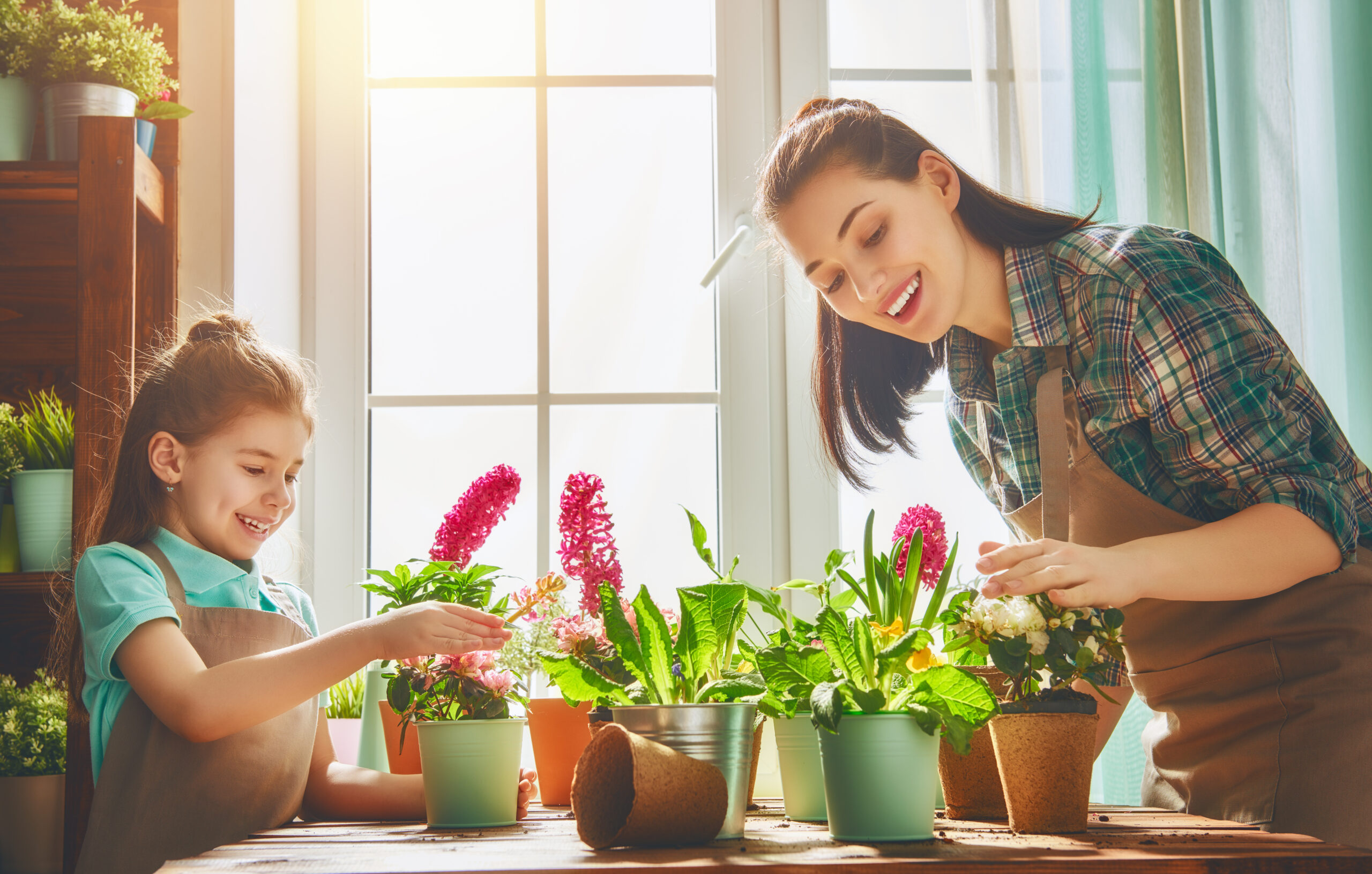 Is Now A Good Time To Buy A House In Las Vegas? - Jessica Cory